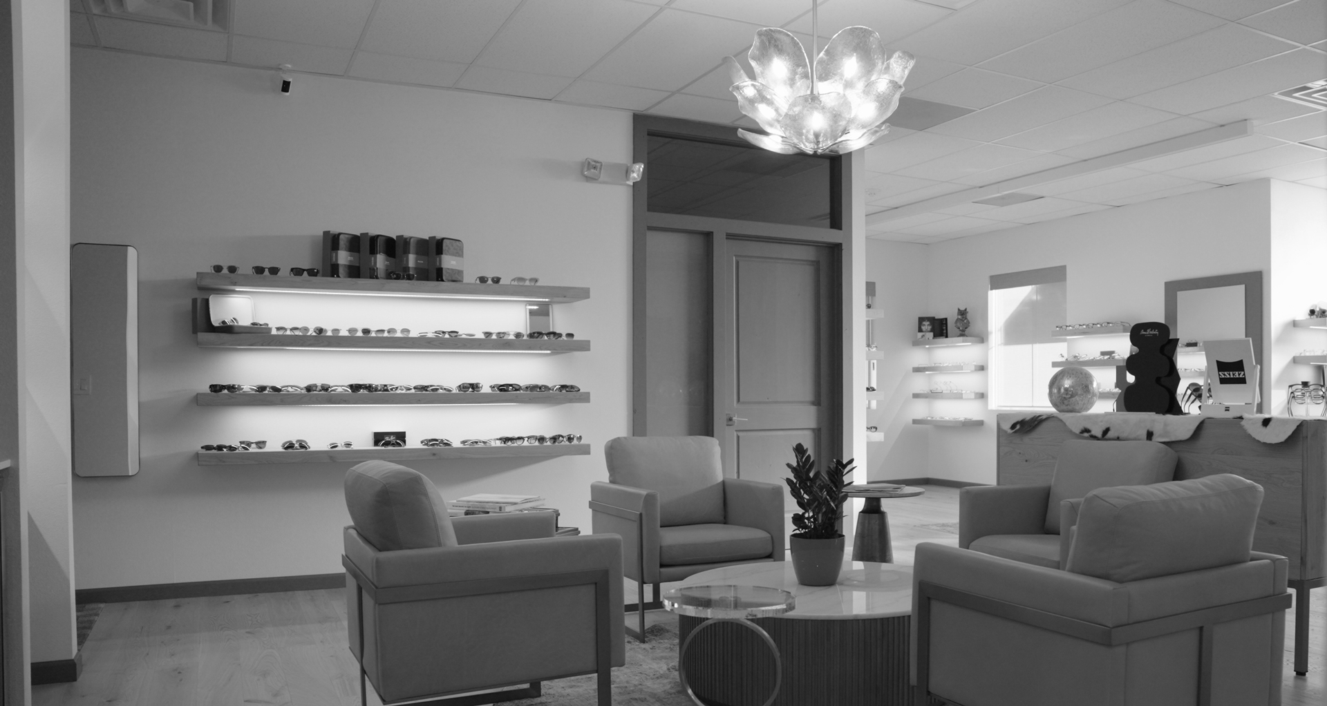 Elite Optometrists in Reno Nevada | NVision Optix